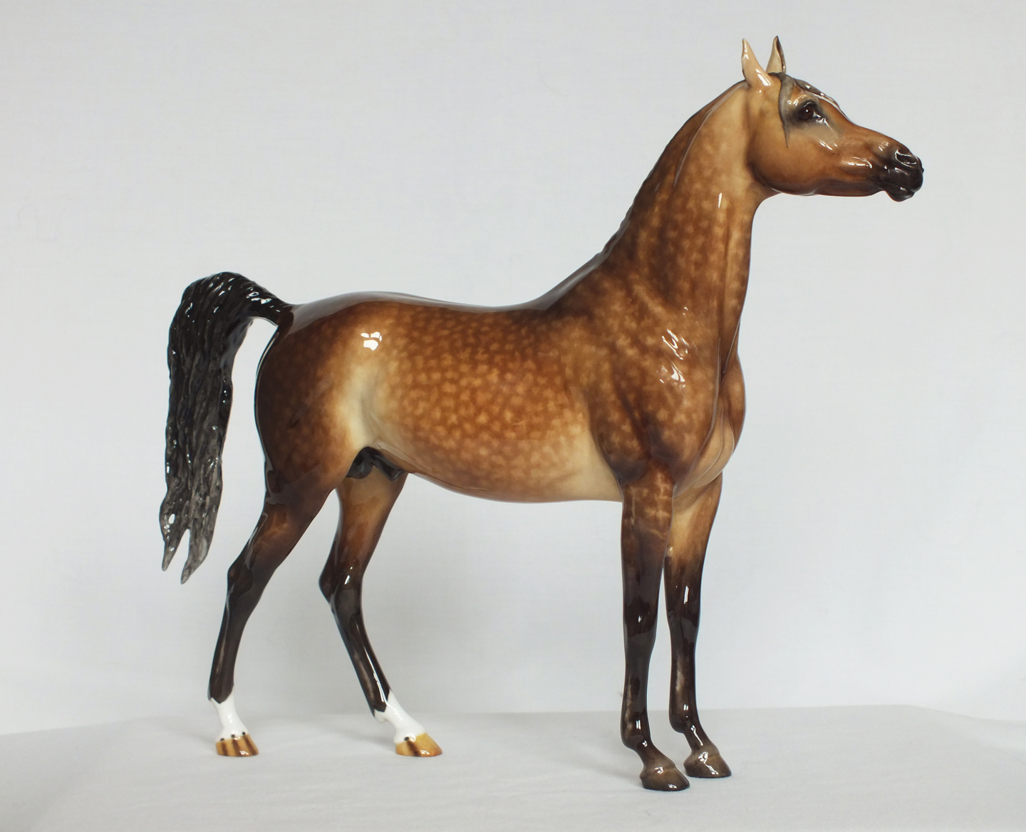Nazeer, Arabian Stallion - Rose Dapple Grey